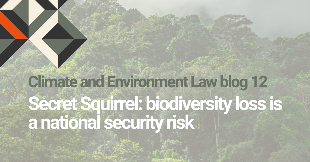 Secret Squirrel: biodiversity loss is a national… - Landmark Chambers