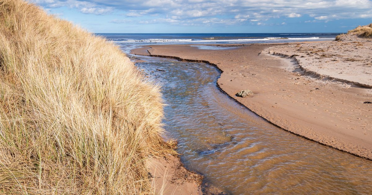 Environment - Landmark Chambers