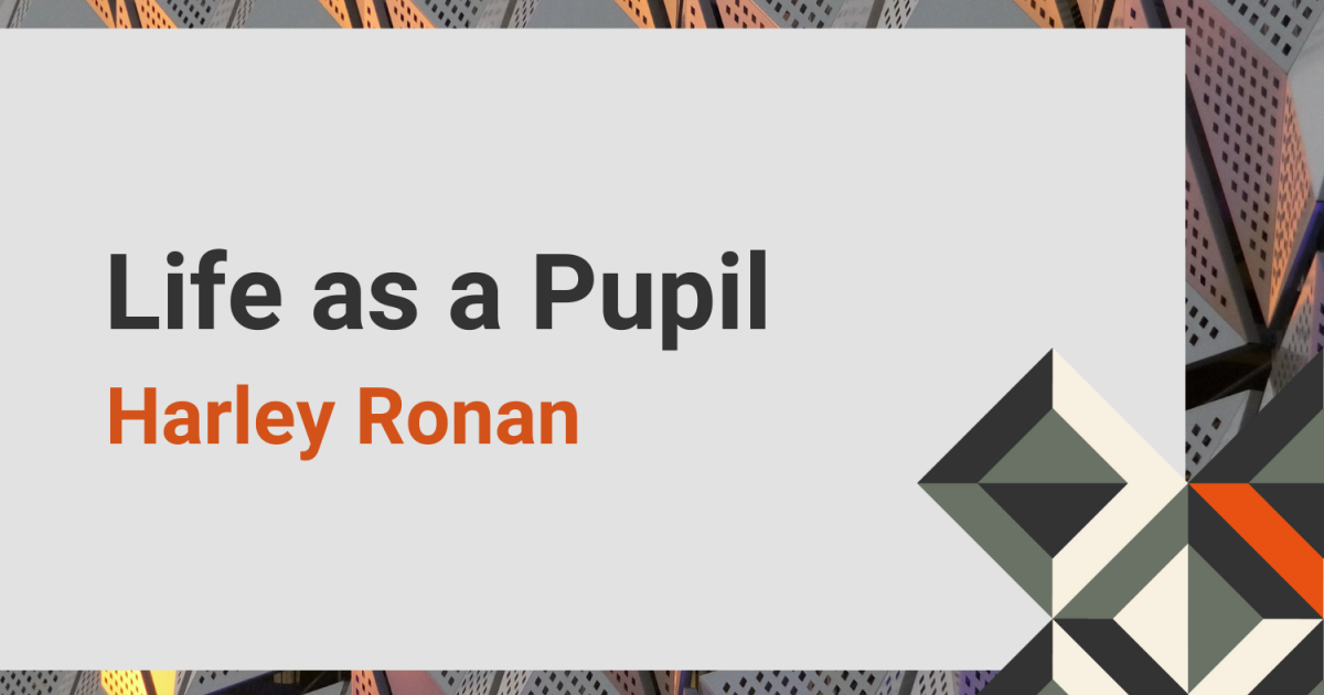 Life as a Pupil - Harley Ronan - Landmark Chambers