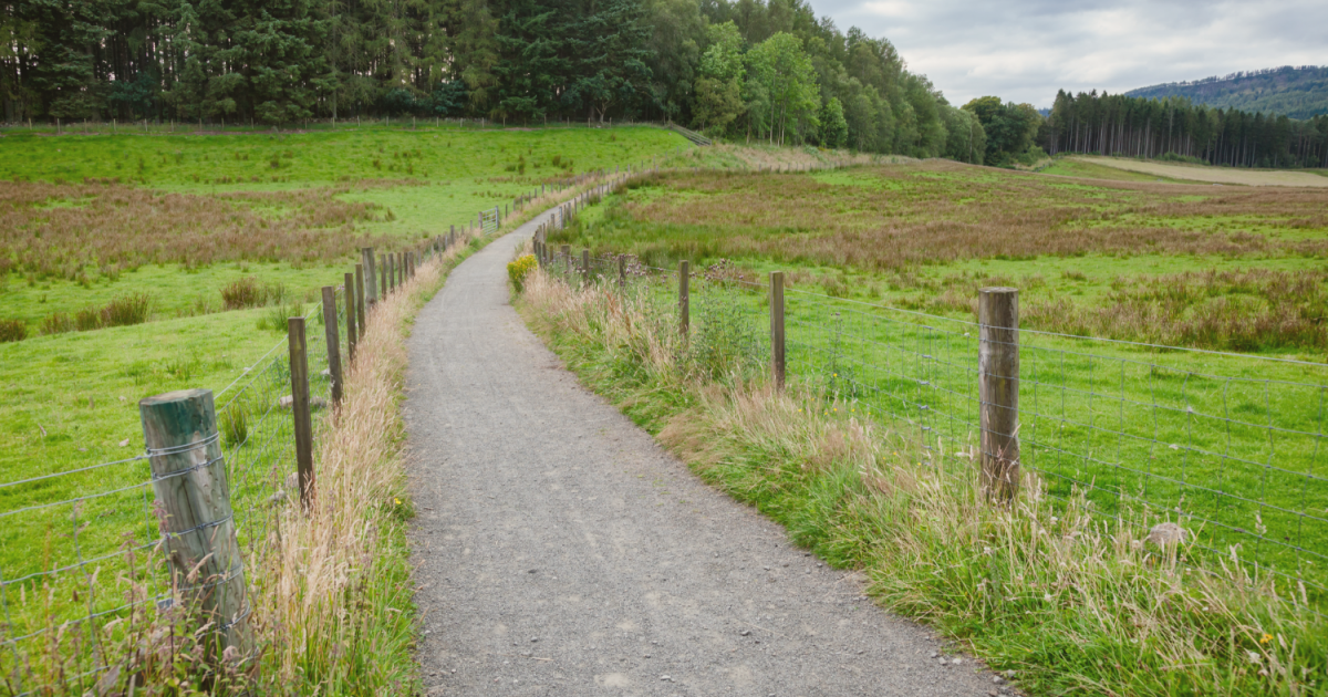 High Court considers the effect of foot-and-mouth… - Landmark Chambers